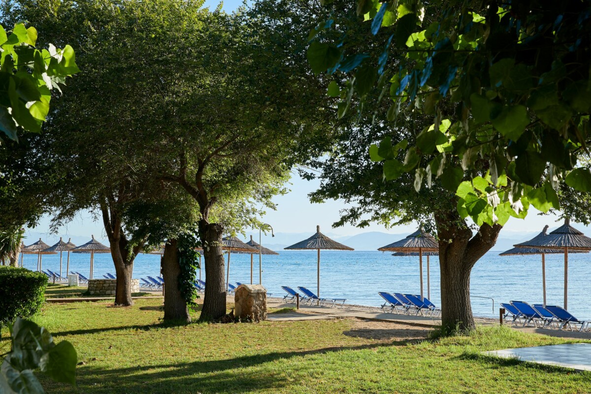 Photo gallery of our Hotel | Delfinia Hotels